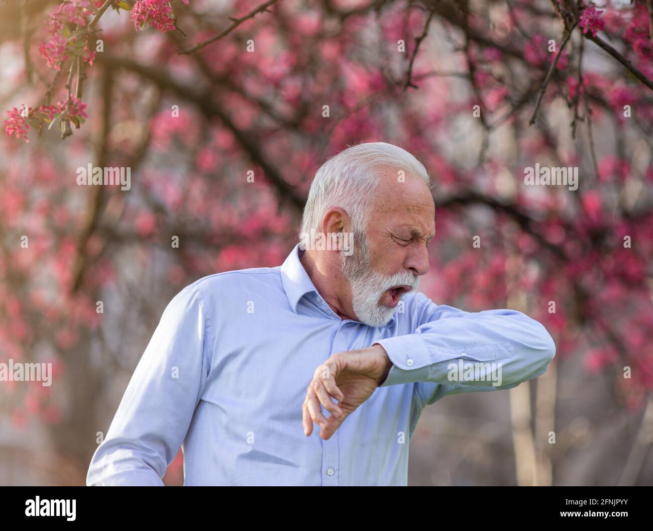 Old man coughing in elbow in front of blooming tree in springtime ...