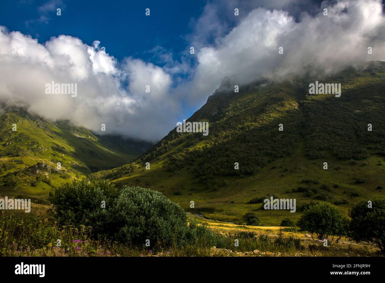The unique view of the mountains on the Cimil Plateau in Rize, Turkey ...
