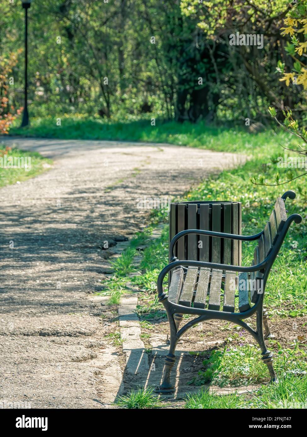 Lonely wooden bench and a paved alley in the park Stock Photo - Alamy