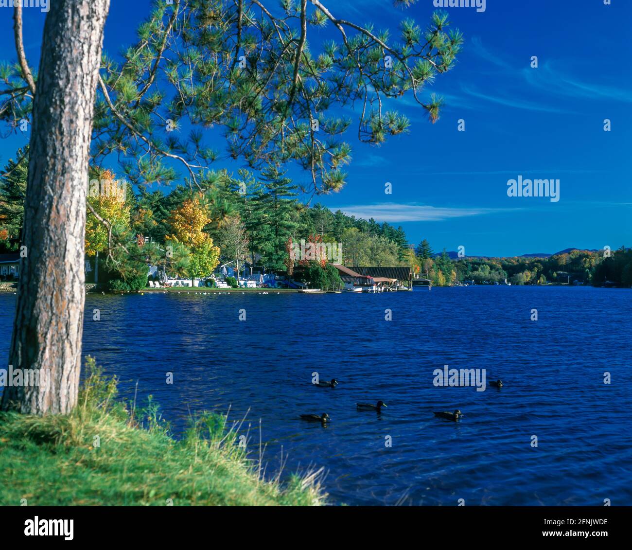 2004 HISTORICAL FALL FOLIAGE LAKE FLOWER LAKE SARANAC ADIRONDACKS STATE ...