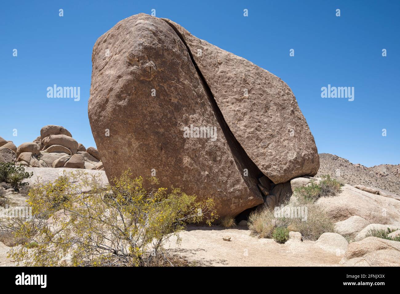 Joshua Tree National Park. Joshua Tree, California, USA. This rock ...