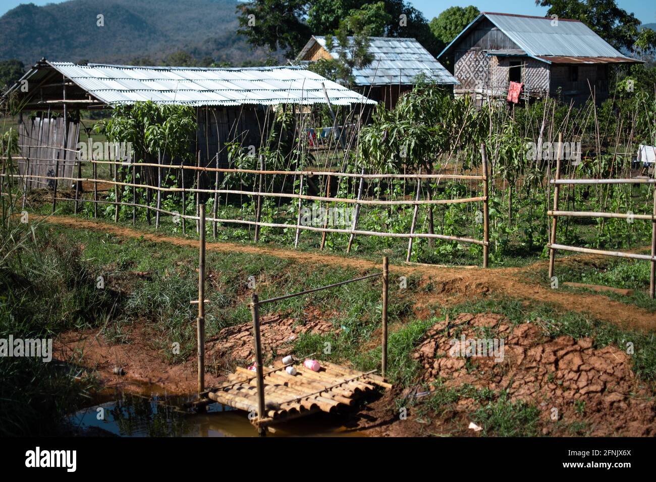 Asian farm land hi-res stock photography and images - Alamy