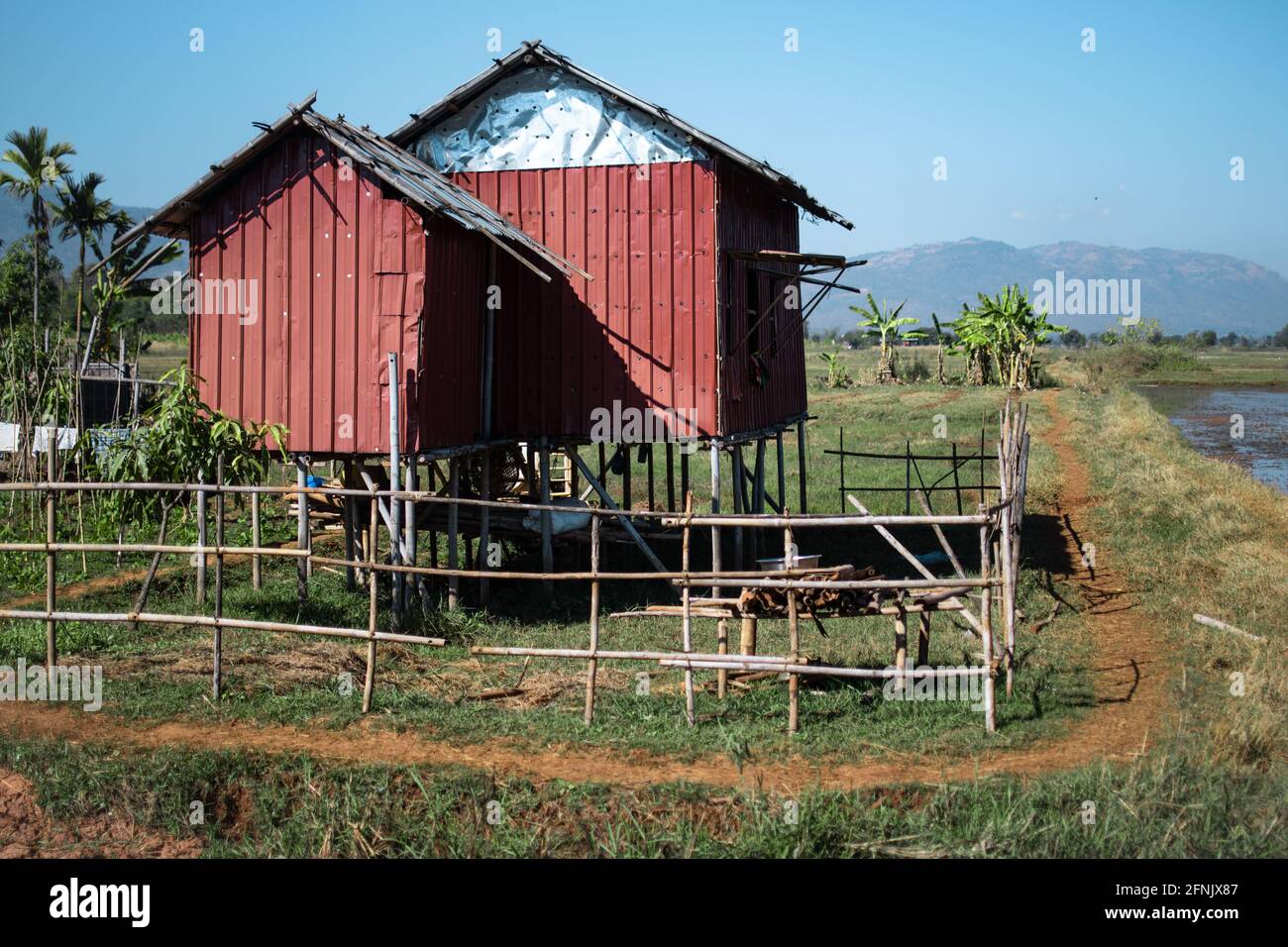 A small local farm growing organic vegetables with a couple elevated ...