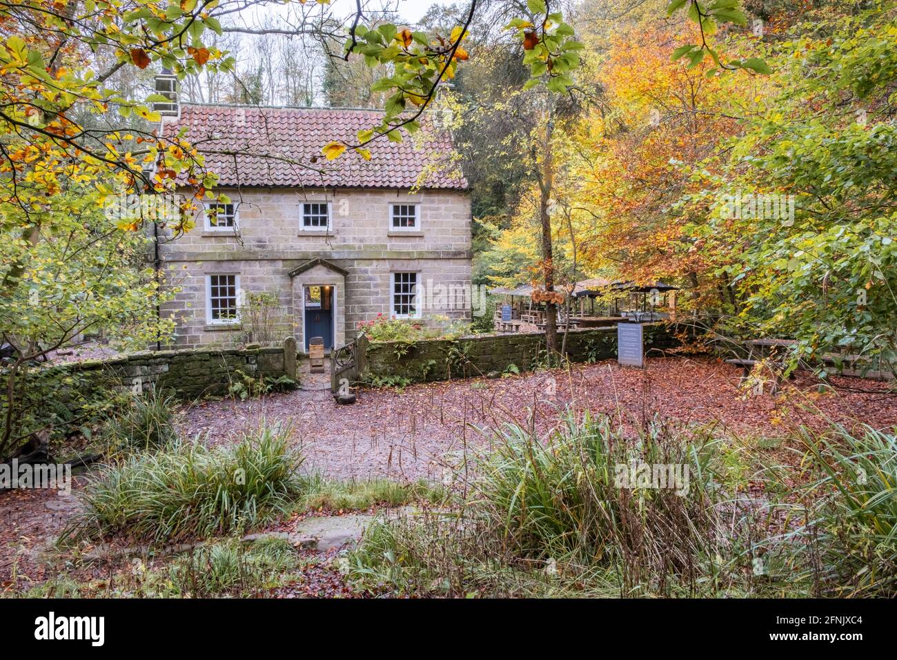 By midge hall tea shop hi-res stock photography and images - Alamy