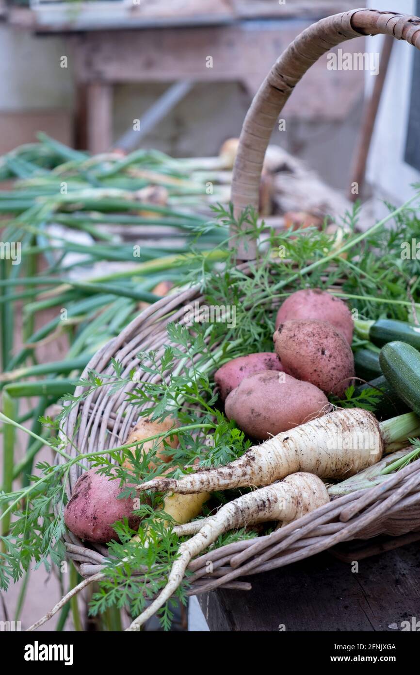 Self harvest hi-res stock photography and images - Alamy