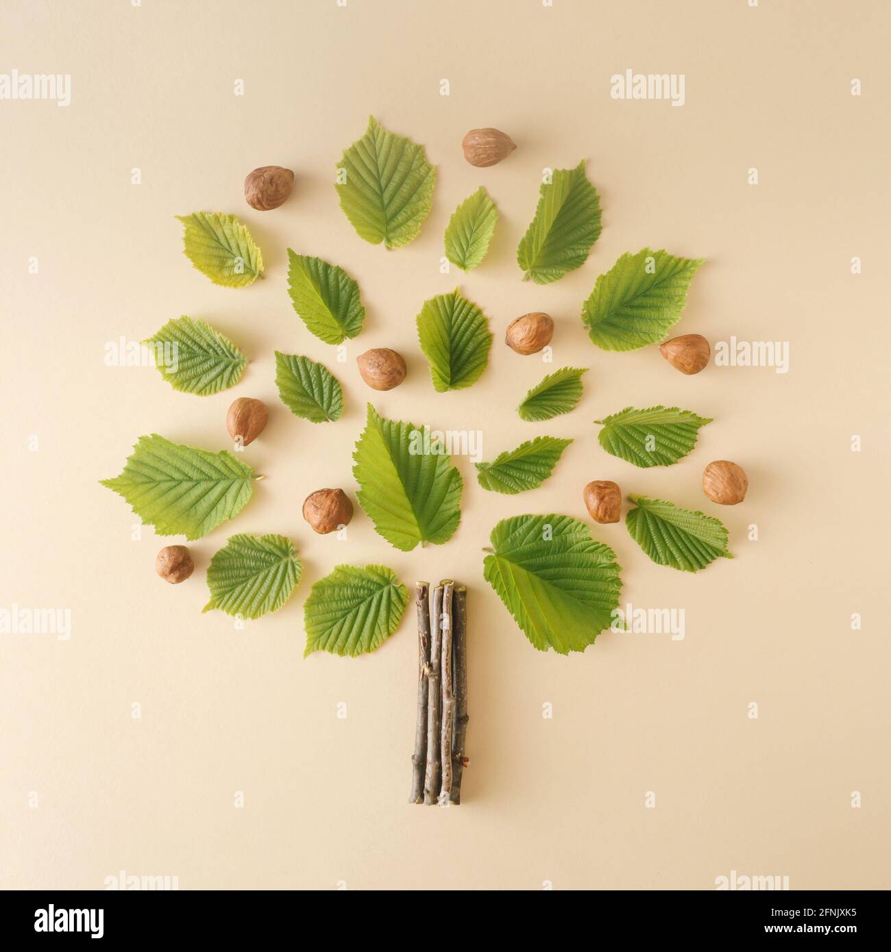 Hazelnuts and hazelnut leaves arranged according to the idea to face a ... Hazelnuts and hazelnut leaves arranged according to the idea to face a ...