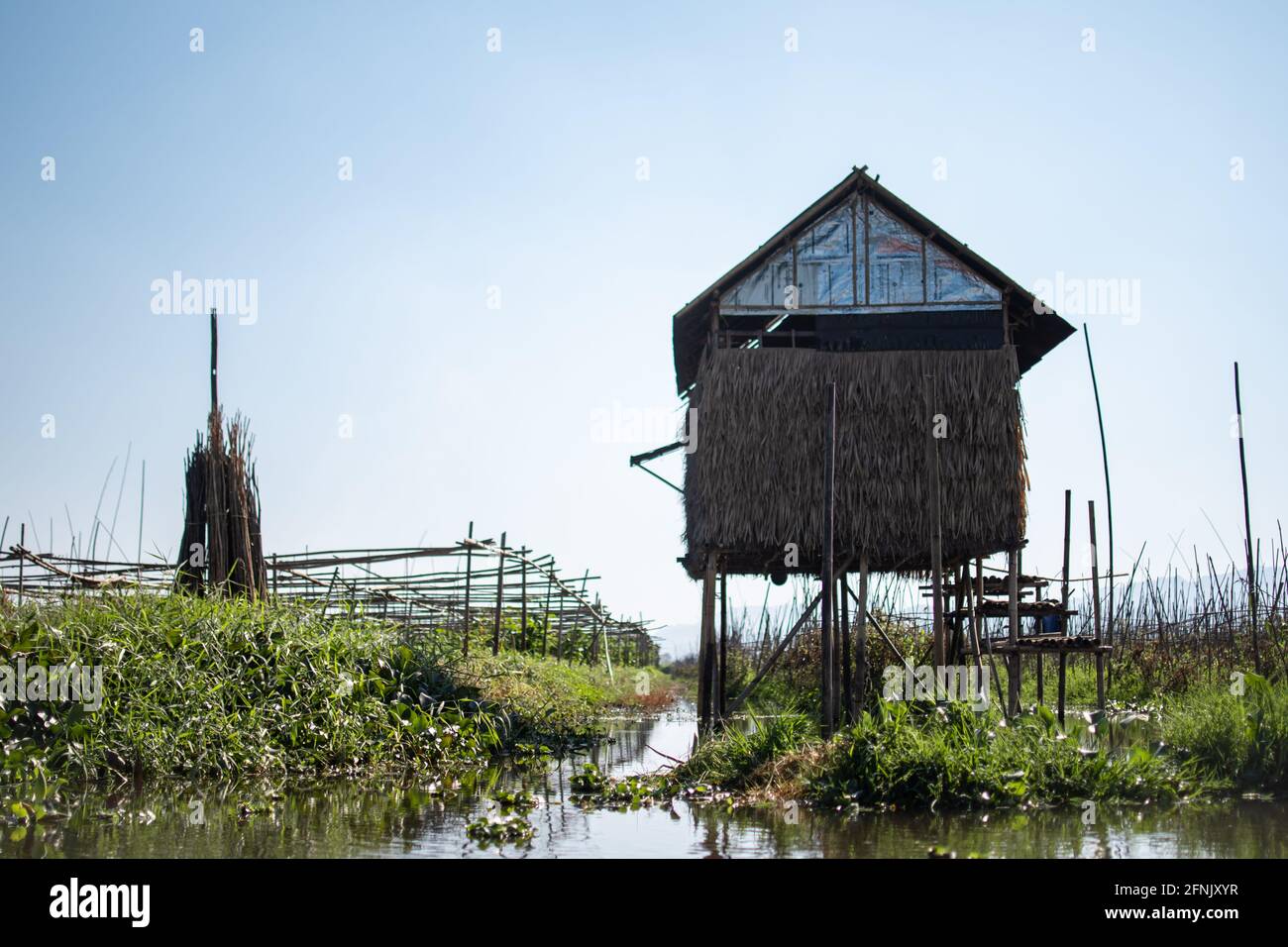 An elevated house on bamboo stilis by the floating gardens in the ...