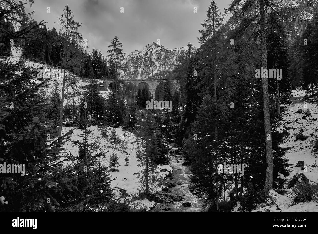 Grayscale shot of a forested mountain covered in snow Stock Photo - Alamy