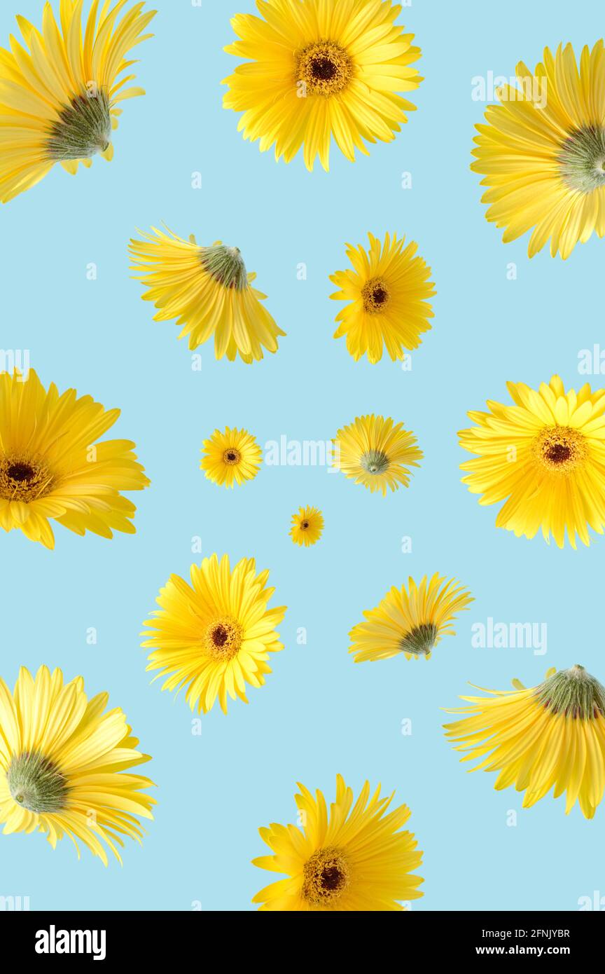 Optimistic colors hi-res stock photography and images - Alamy