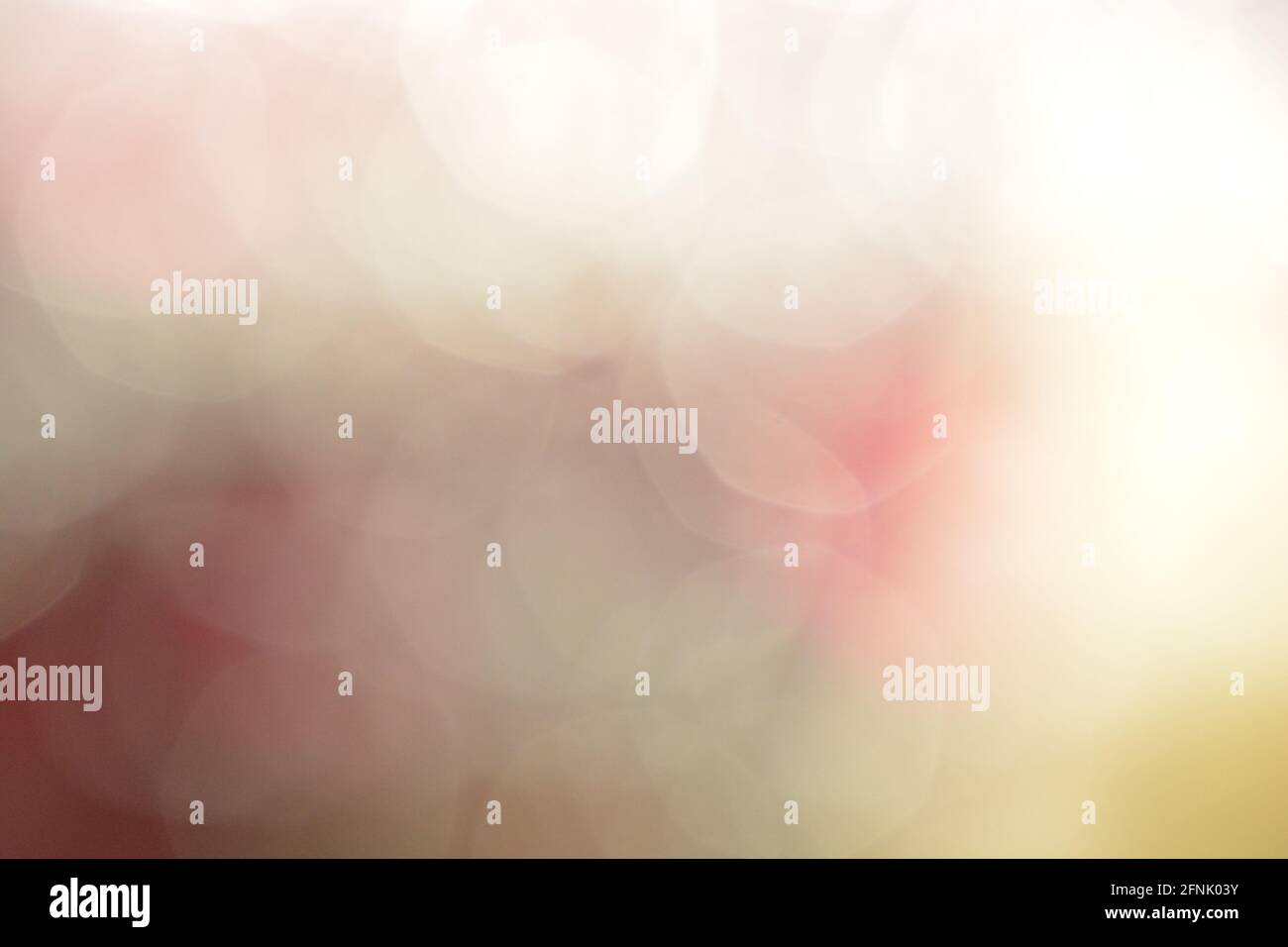 gradient multi colors background for wallpapers and graphic designs ...