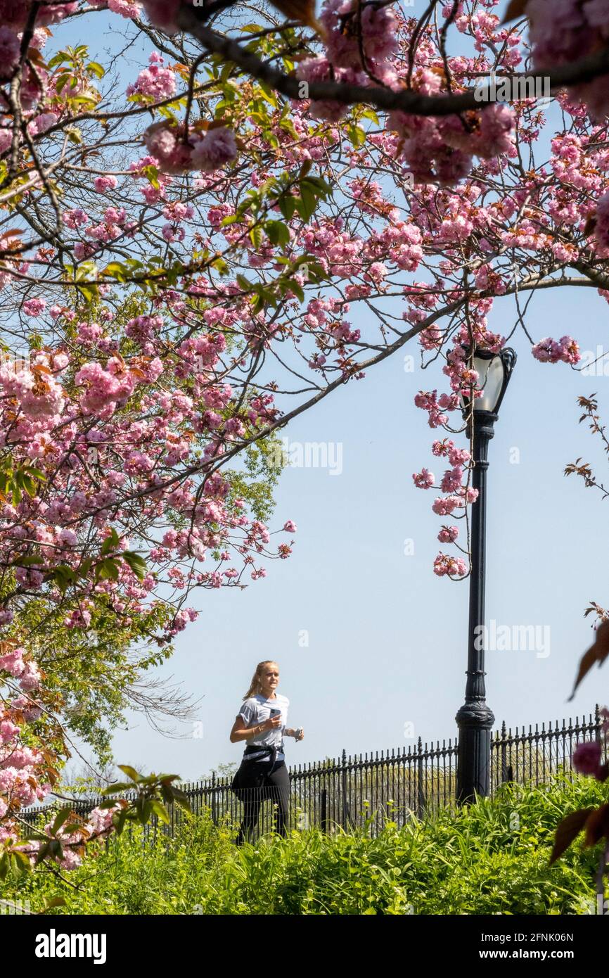 Stephanie young hi-res stock photography and images - Alamy