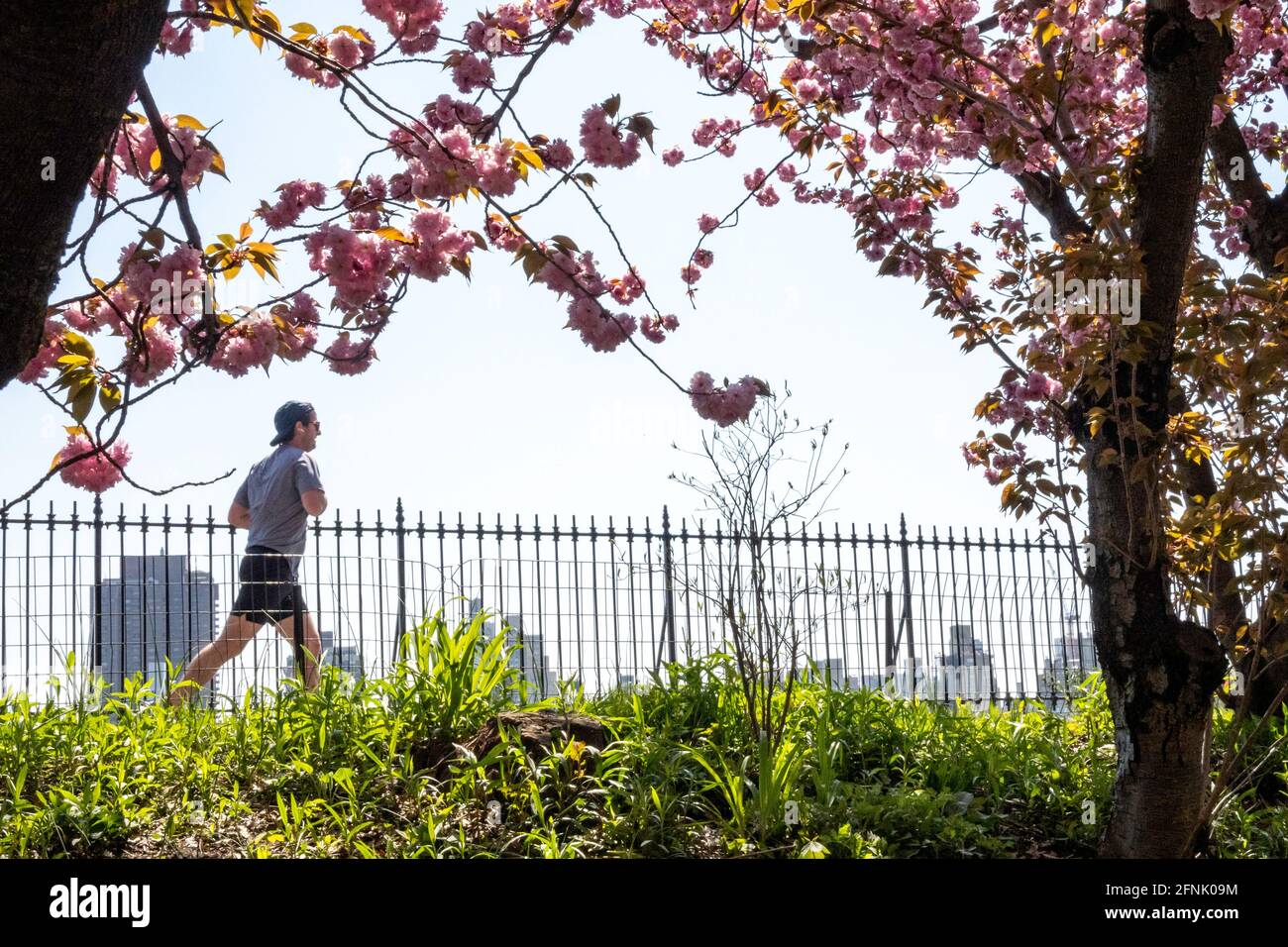 Stephanie and fred shuman running track hi-res stock photography and ...
