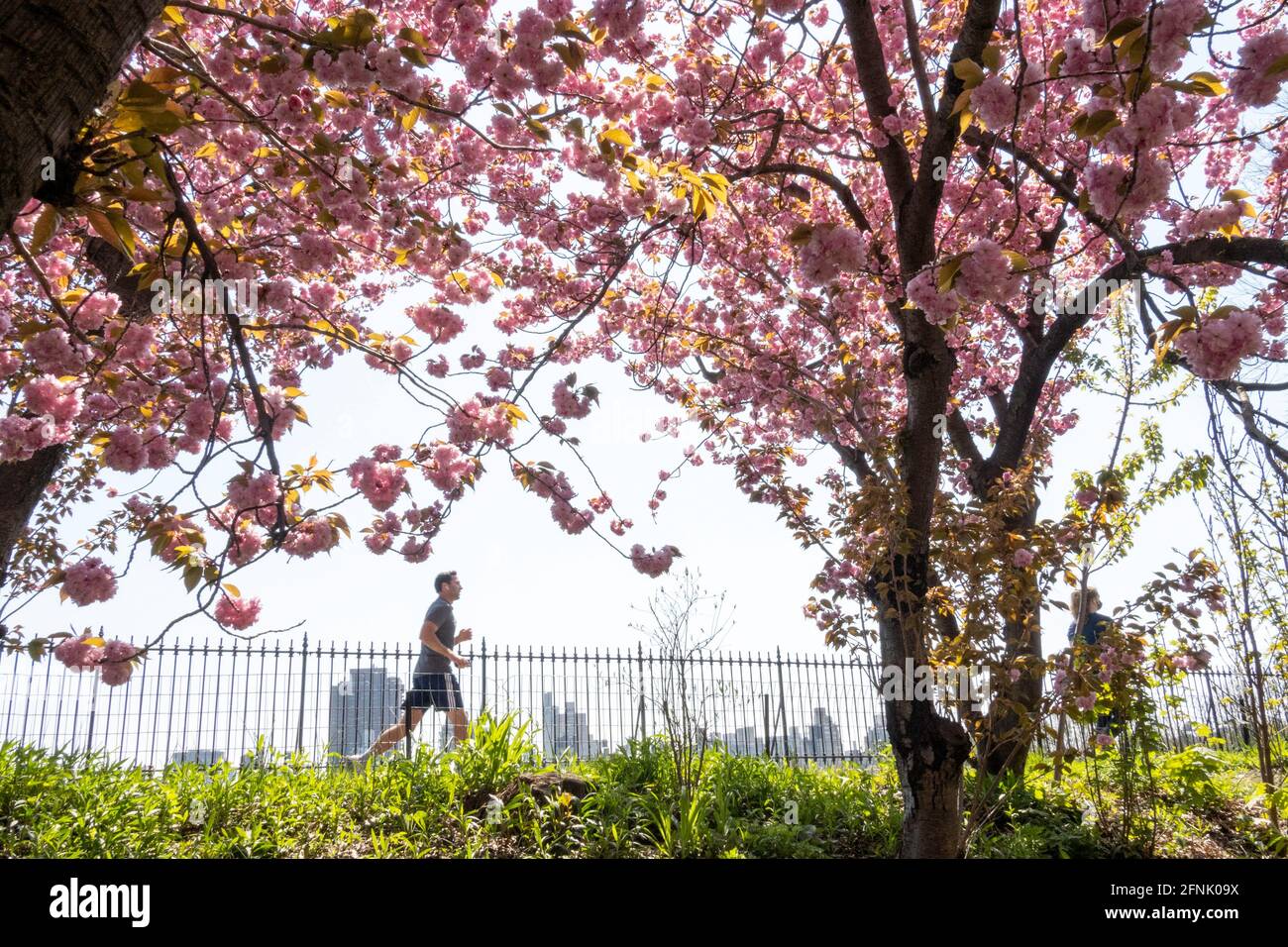 Stephanie and fred shuman running track hi-res stock photography and ...