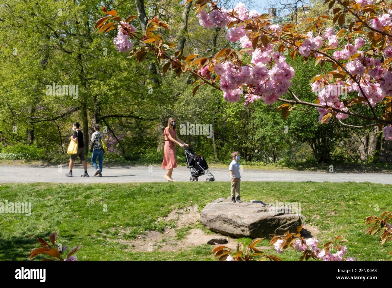 The Bridle Path in Central Park is a popular walkway, New York City ...