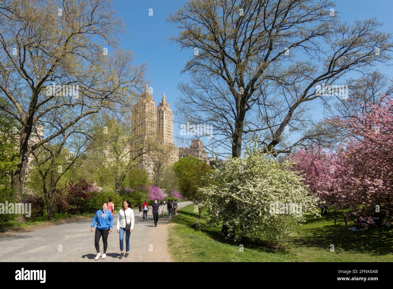The Bridle Path in Central Park is a popular walkway, New York City ...