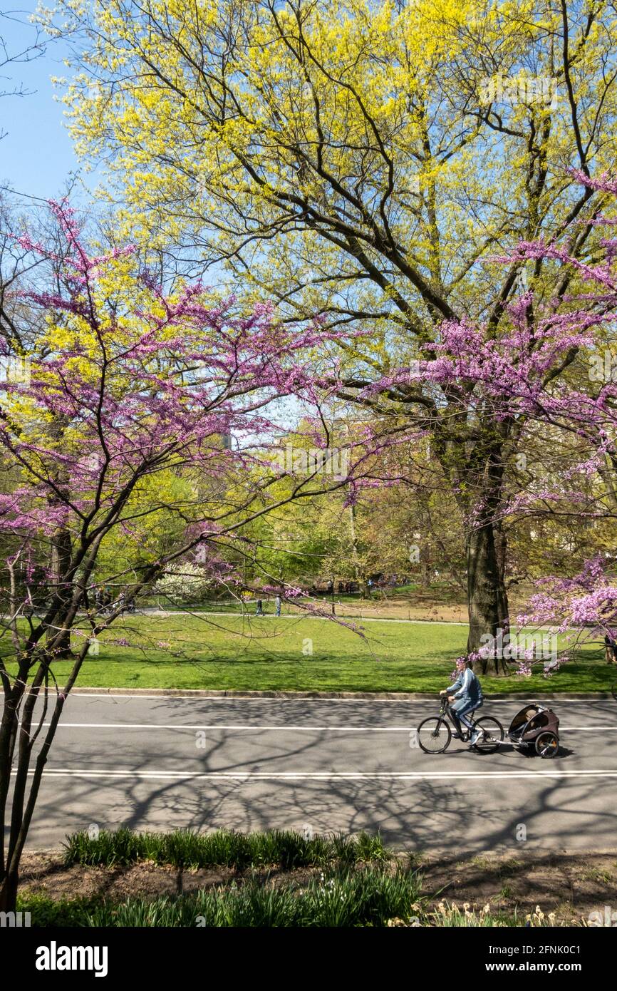 People Enjoying a Spring Day in Central Park , 2021, NYC, USA Stock ...