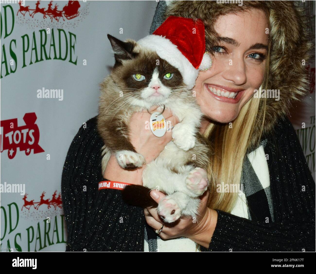 Grumpy cat christmas hi-res stock photography and images - Alamy