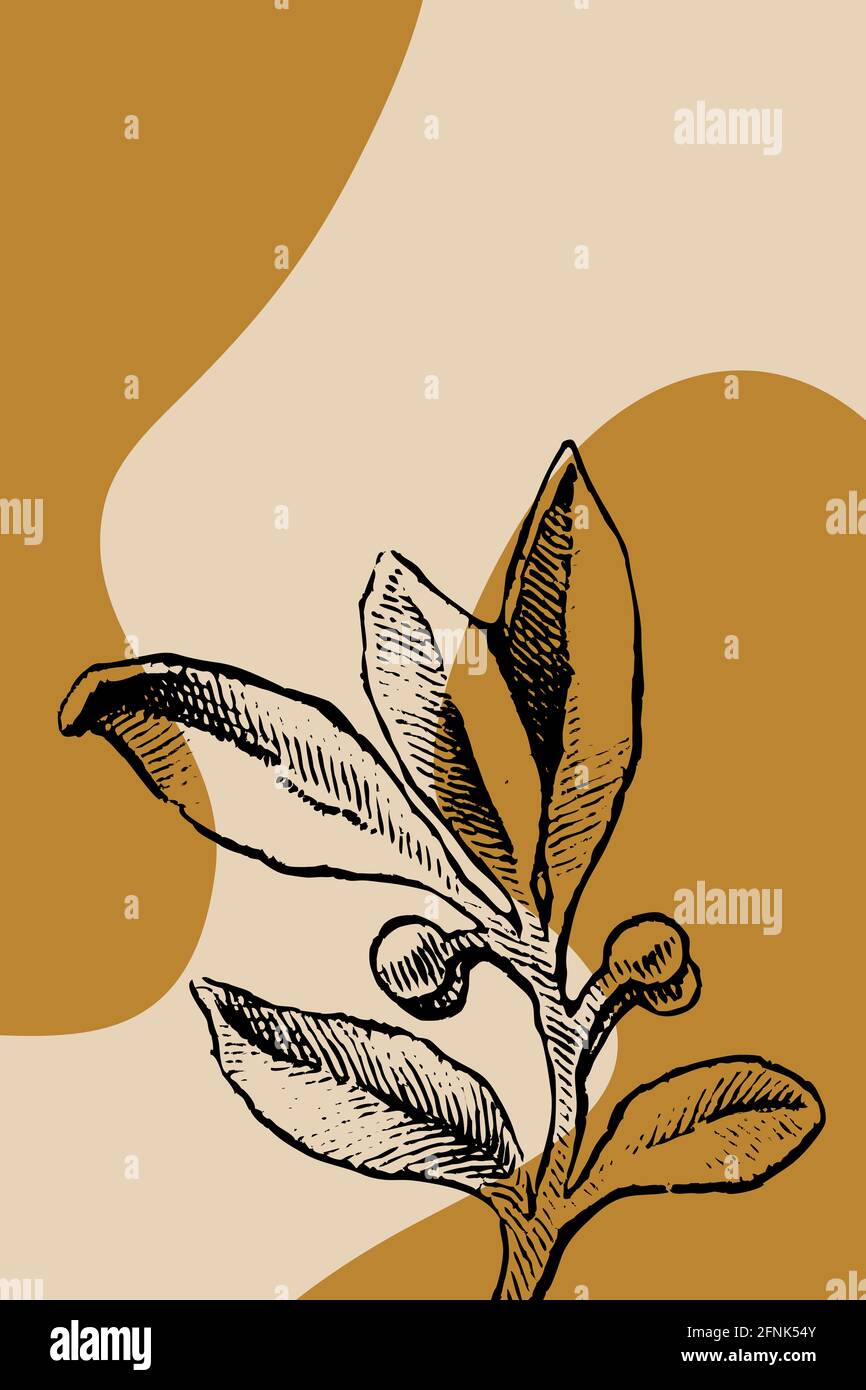 Printable minimalist botanical illustration. Wall paintings. Home decor ...