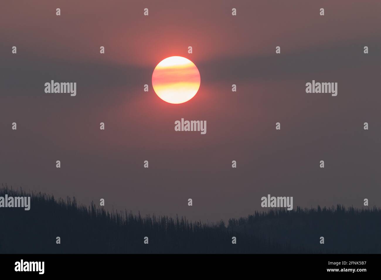 Wildfire Sun I Stock Photo - Alamy
