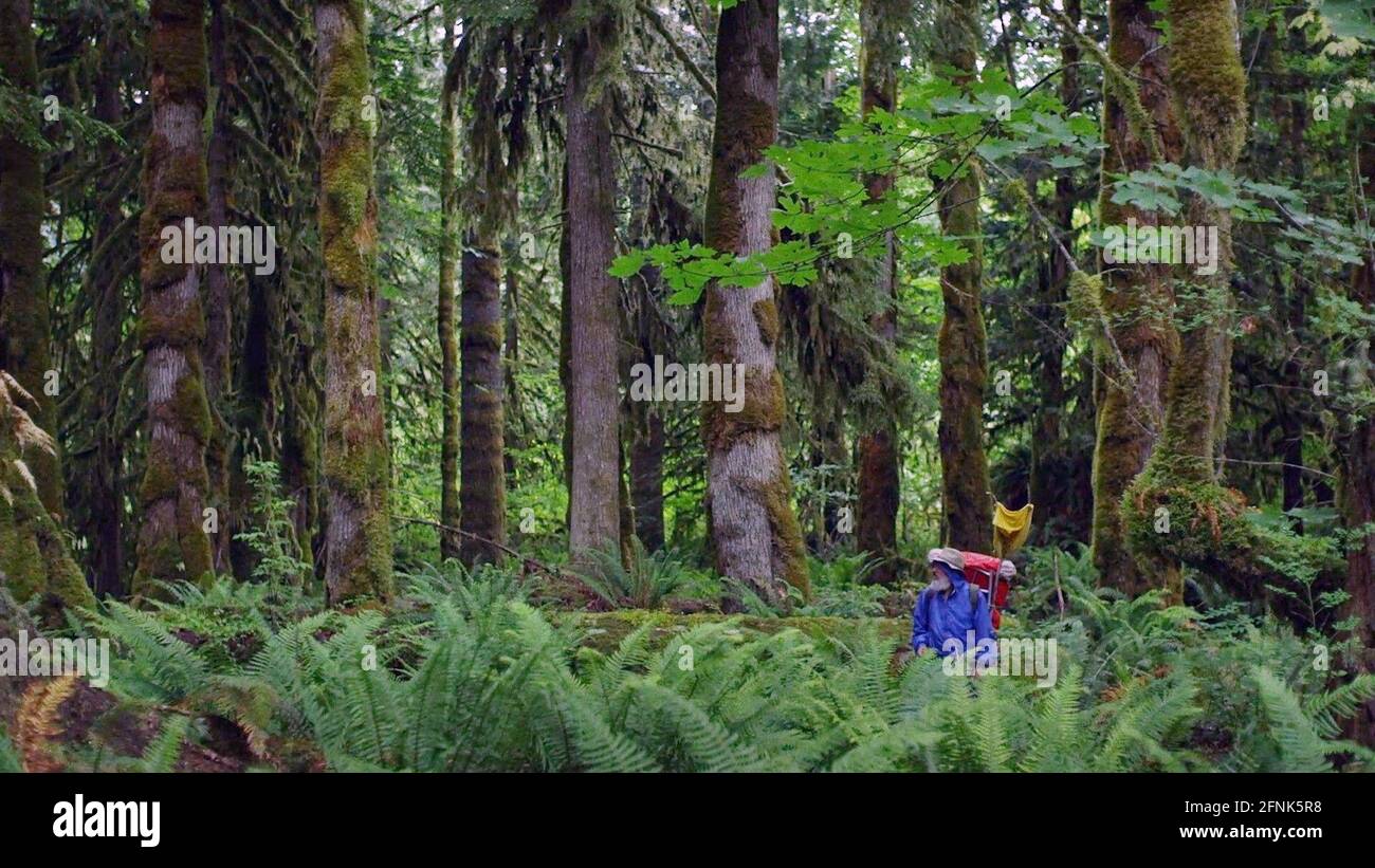 THE DARK DIVIDE, David Cross, 2020. © Strike Back Studios / courtesy ...