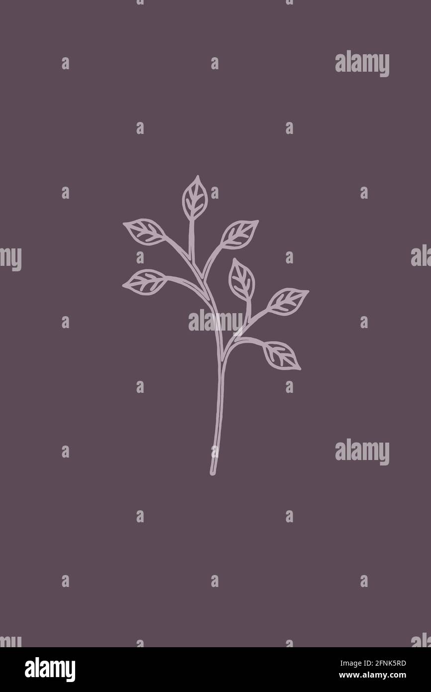 Printable minimalist botanical illustration. Wall paintings. Home decor ...