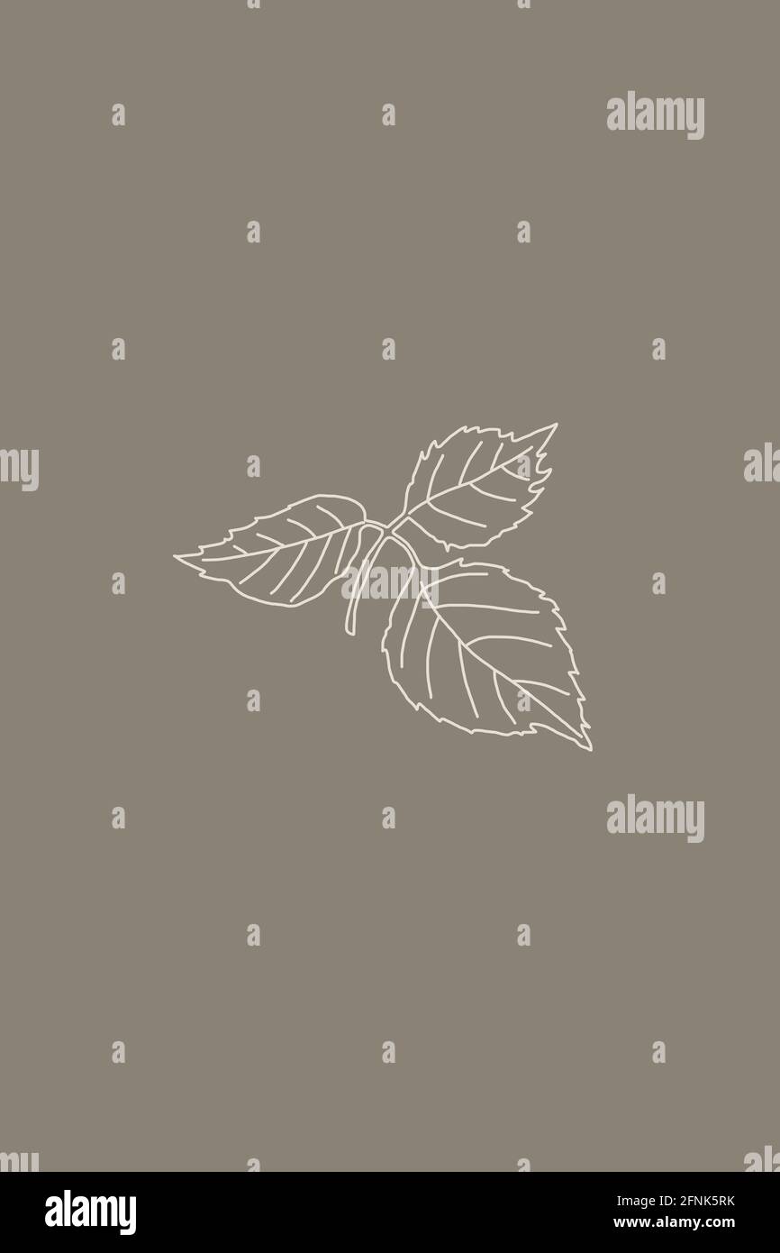 Printable minimalist botanical illustration. Wall paintings. Home decor ...