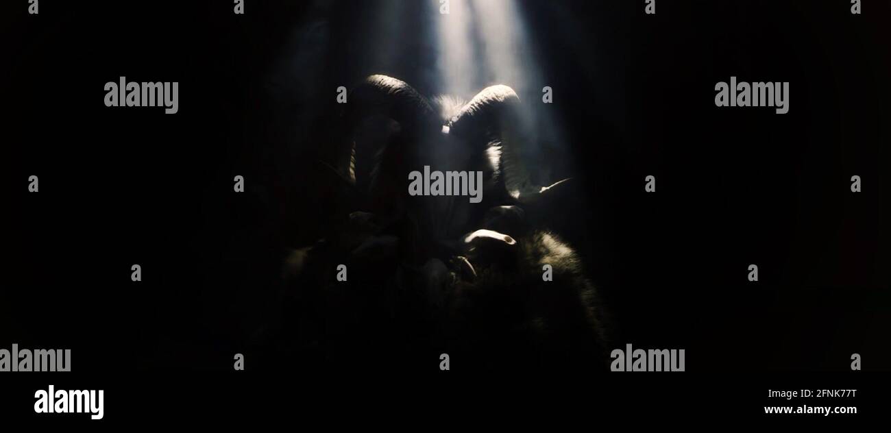 SATOR, 2019. © 1091 Pictures /Courtesy Everett Collection Stock Photo ...