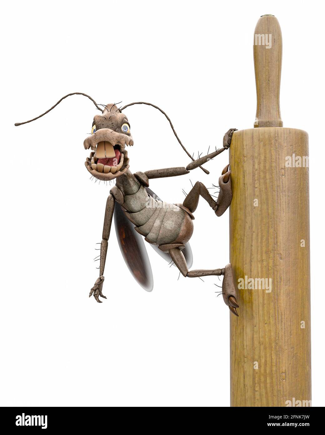 Baby cockroach hi-res stock photography and images - Alamy