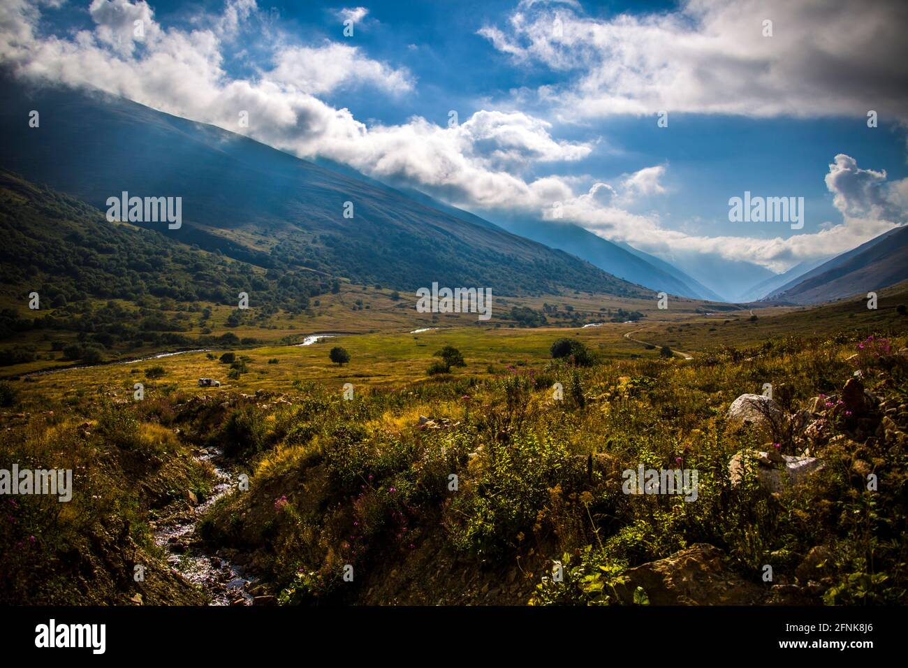 The unique view of the mountains on the Cimil Plateau in Rize, Turkey ...
