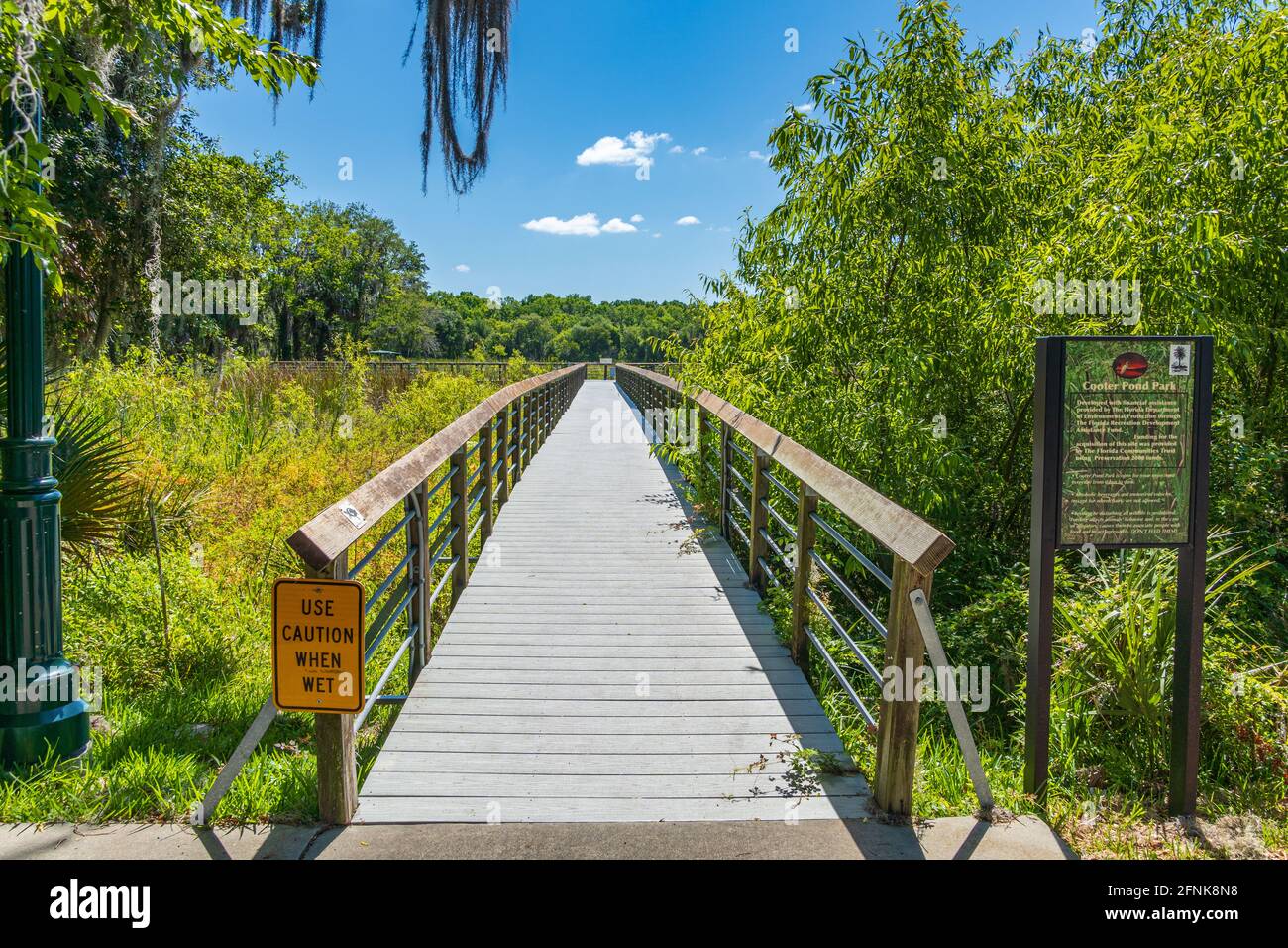 Cooter Pond Park boardwalk - Inverness, Florida, USA Stock Photo - Alamy