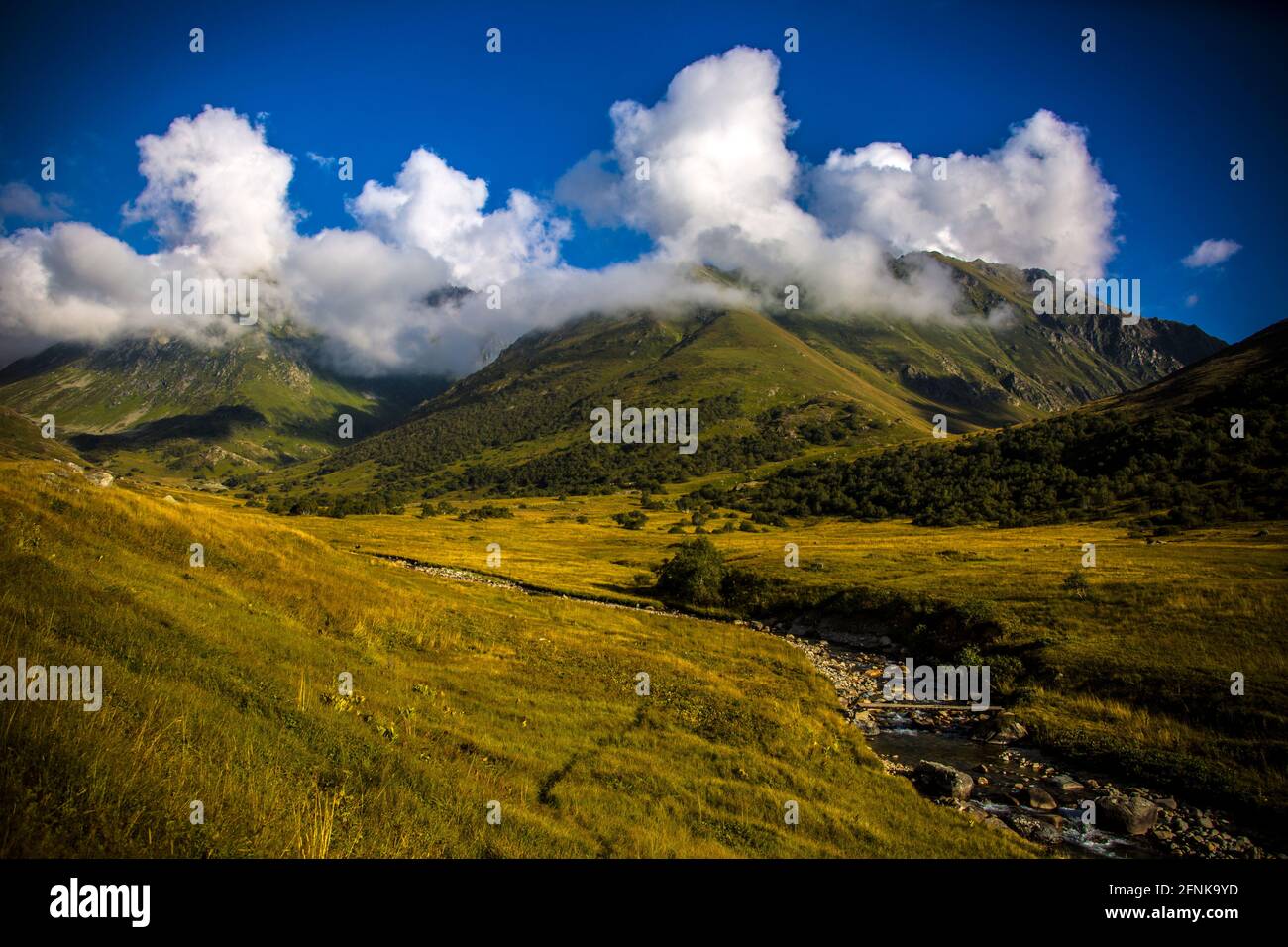 The unique view of the mountains on the Cimil Plateau in Rize, Turkey ...