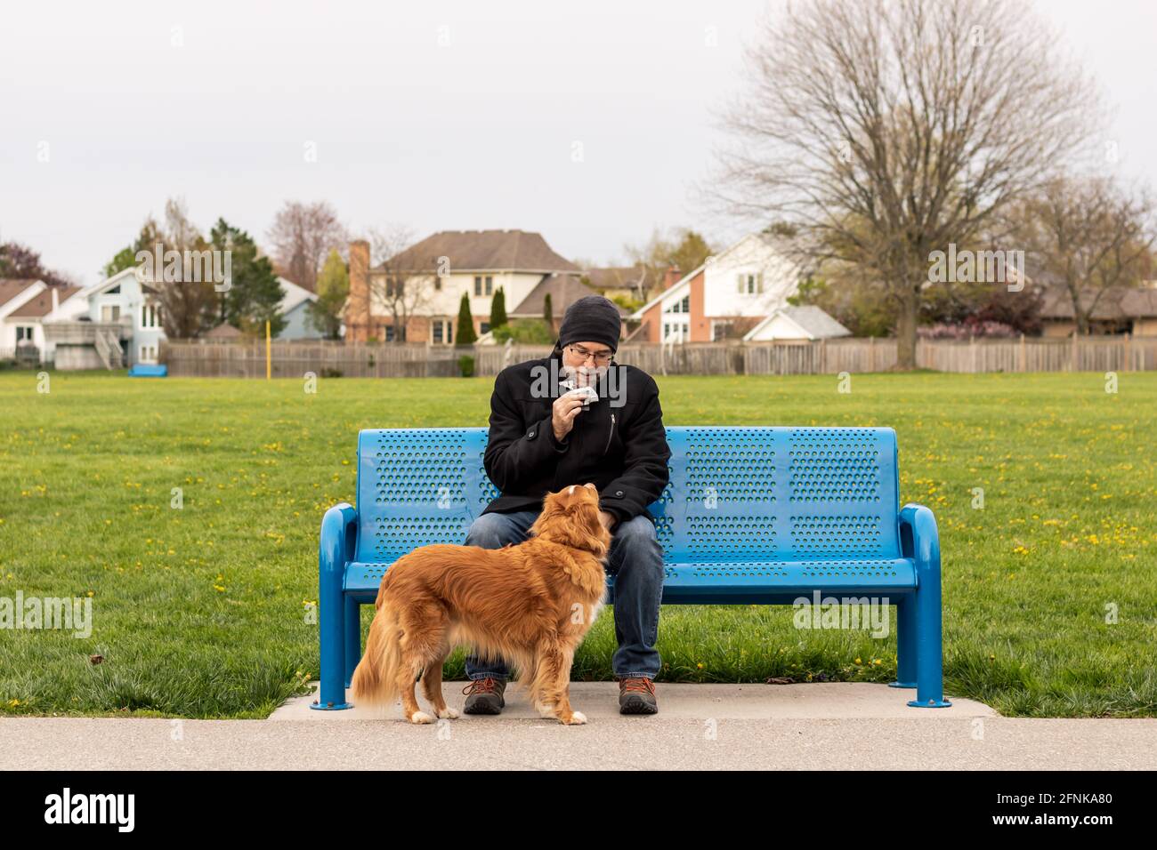 Caucasian man (45-50 years) sitting on a blue park bench eating a snack ...