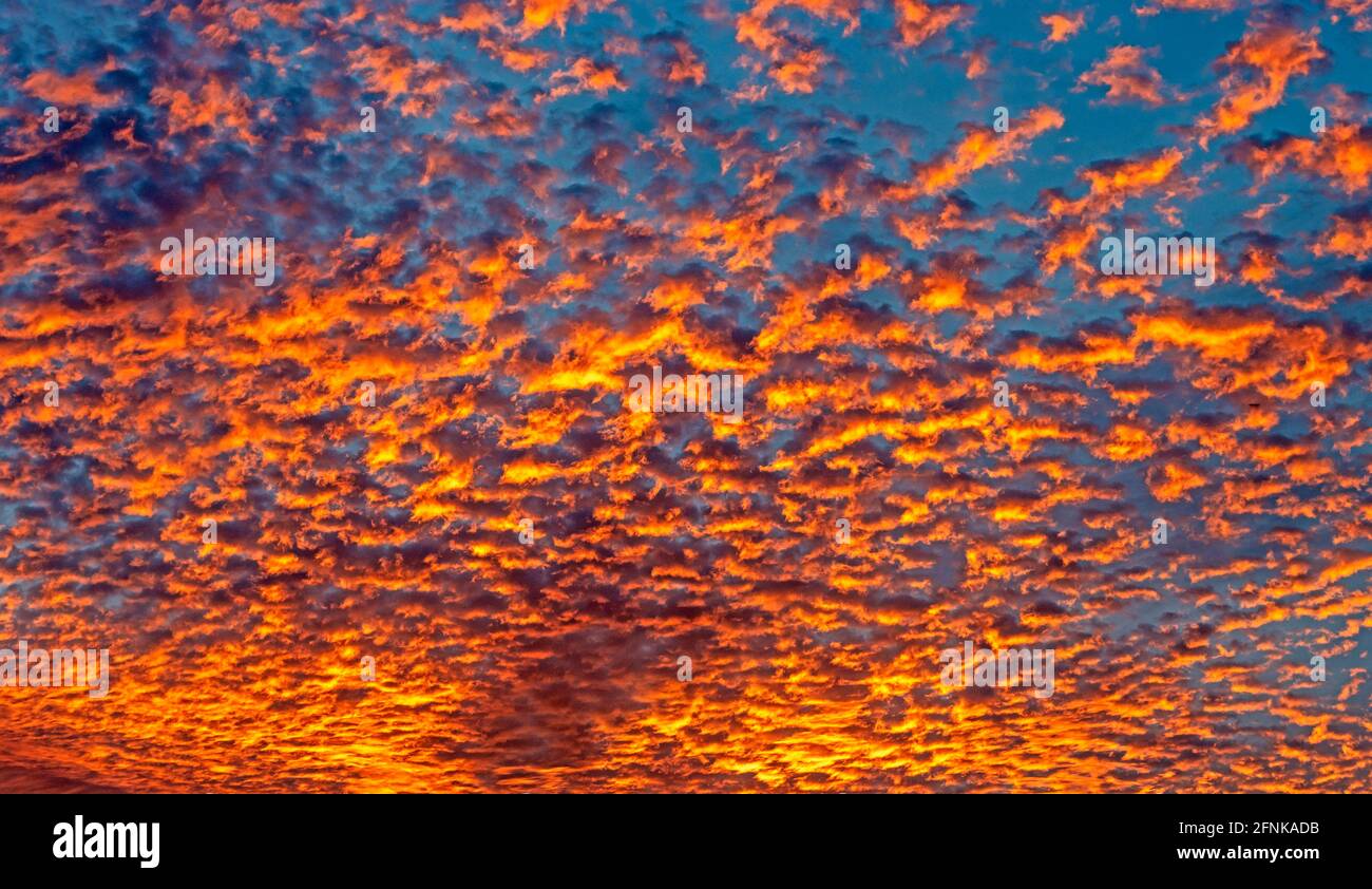 Brilliant Colored Sunset Sky In Arizona Stock Photo - Alamy