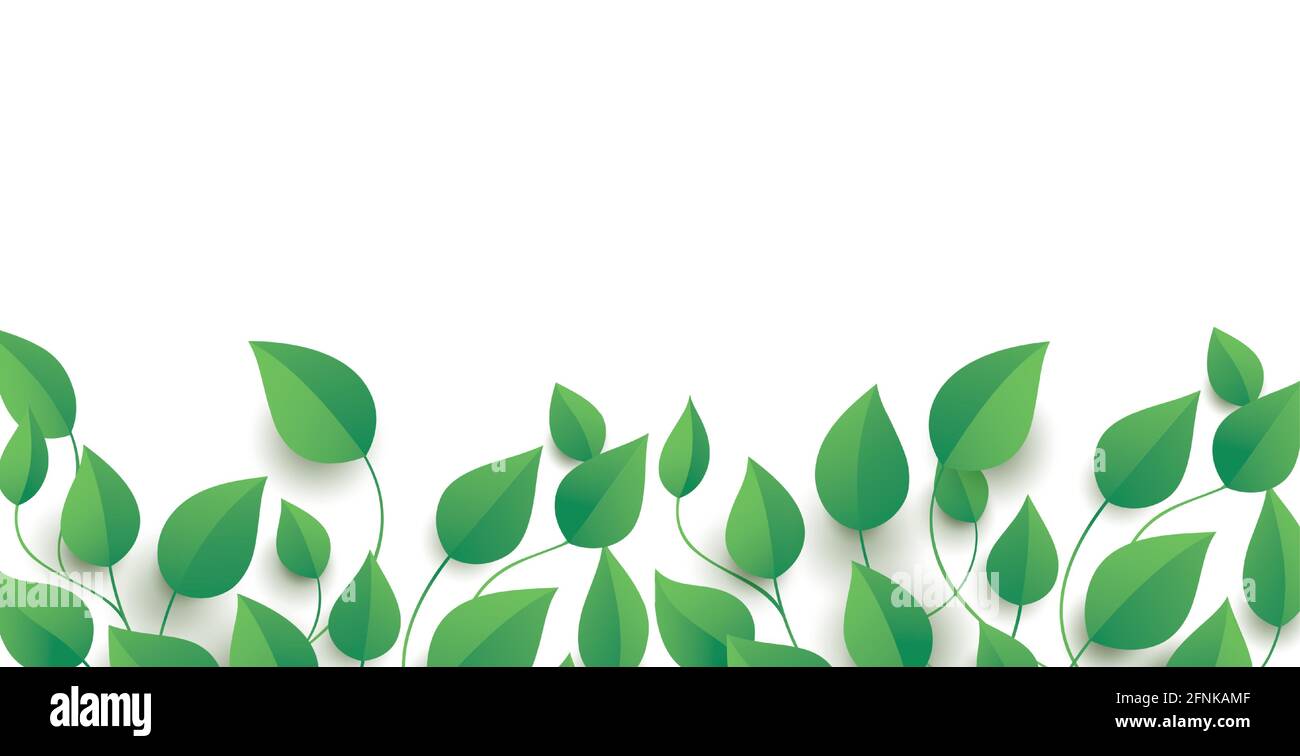 Vector floral banner design with green leaves and copy space Stock ...