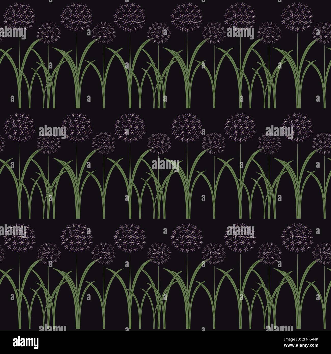 Allium flower vector vectors hi-res stock photography and images - Alamy
