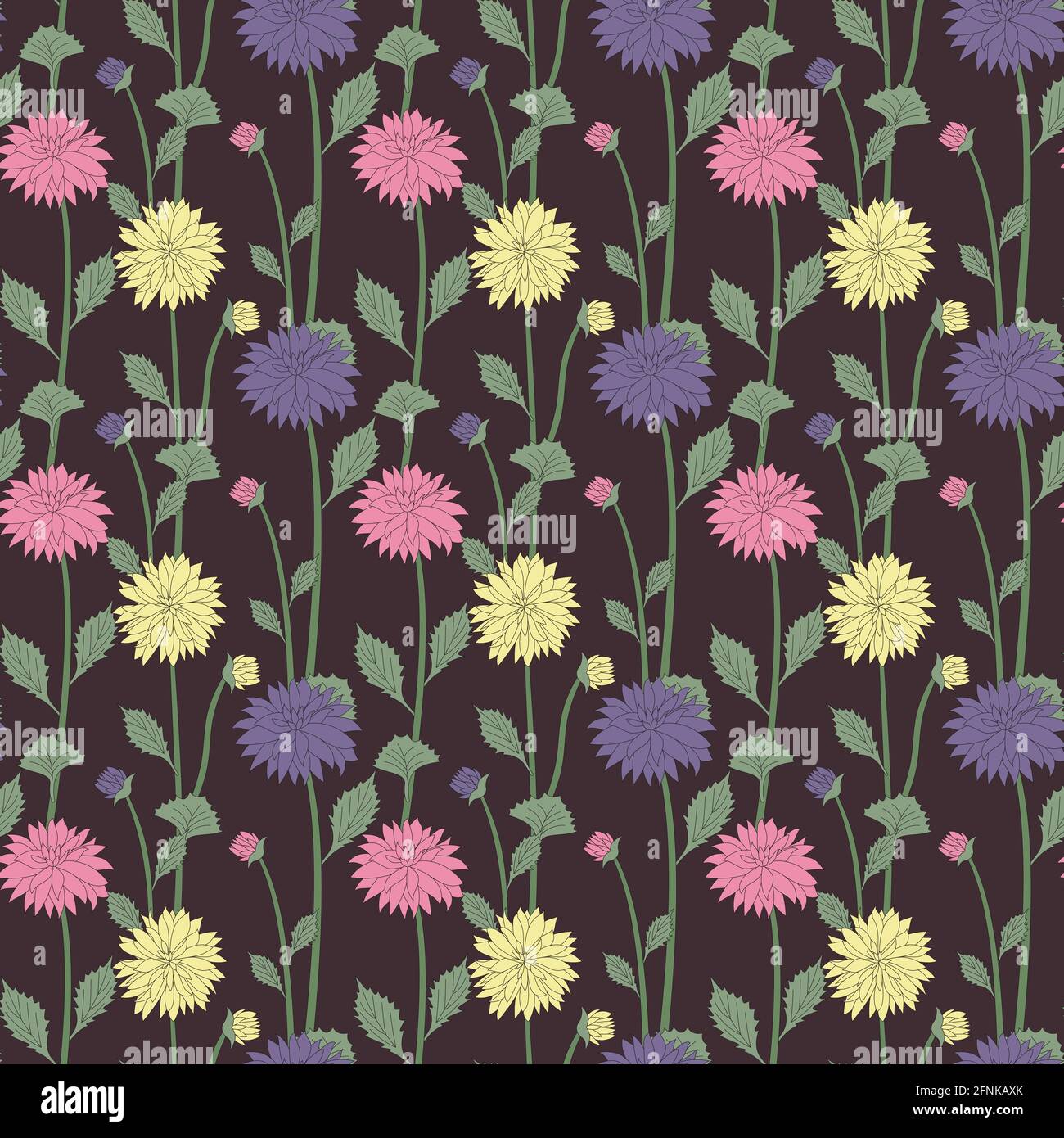 Seamless pattern aster flower Stock Vector Image & Art - Alamy