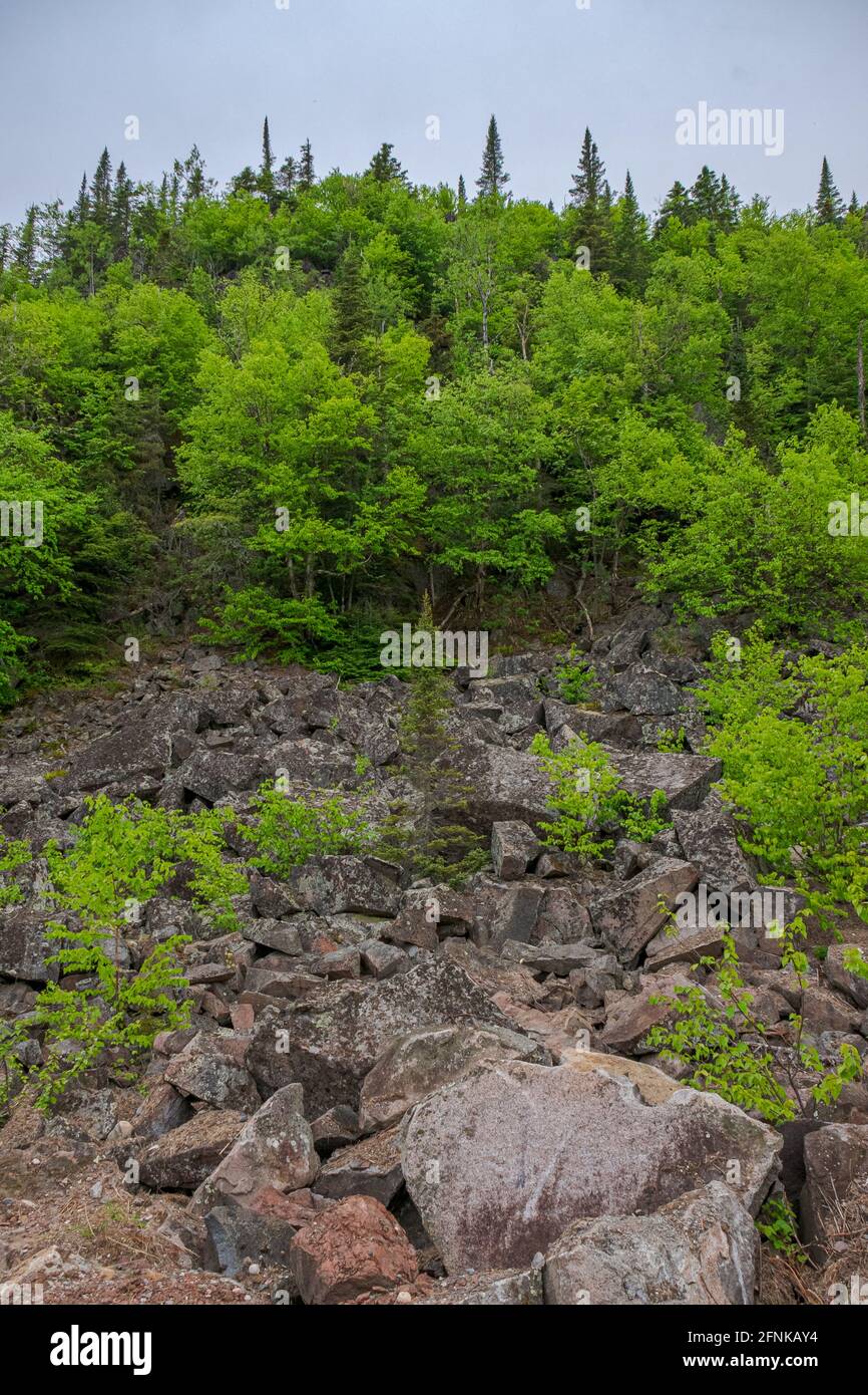 Dr. Rose Beach Wawa Ontario Canada in summer Stock Photo - Alamy