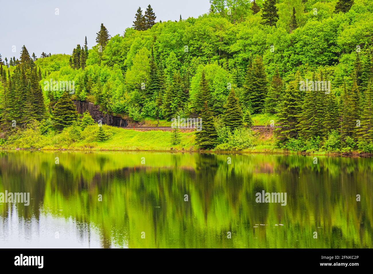 Canadian Wetland and Forest Marathon Ontario Canada in summer Stock ...