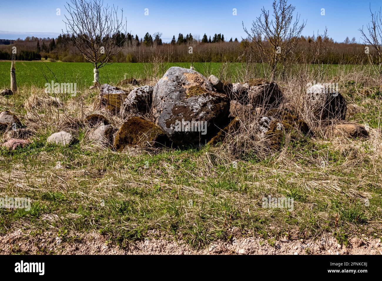 Landscape of a field covered in greenery and rocks under the sunlight ...
