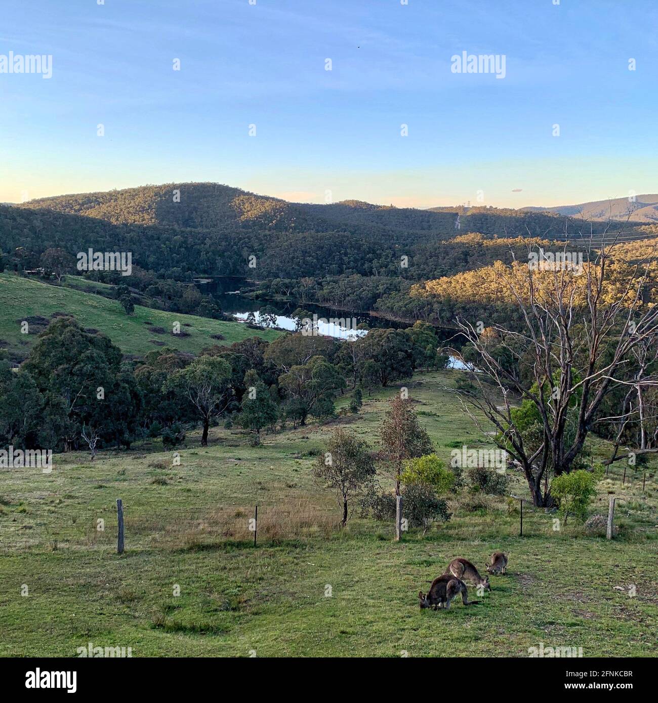 Australian mountains sunset in hi-res stock photography and images - Alamy