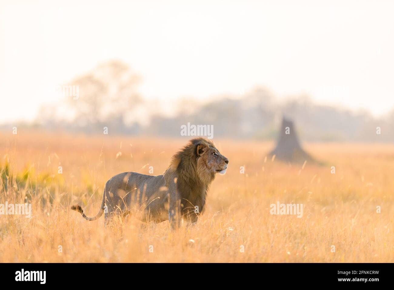 Phototour hi-res stock photography and images - Alamy