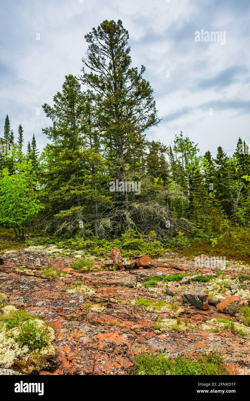 Red rock ontario lake superior hi-res stock photography and images - Alamy