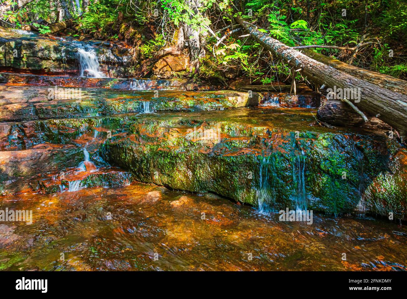 Mazukama Creek Waterfalls Trail Nipigon Ontario Canada in Summer Stock ...
