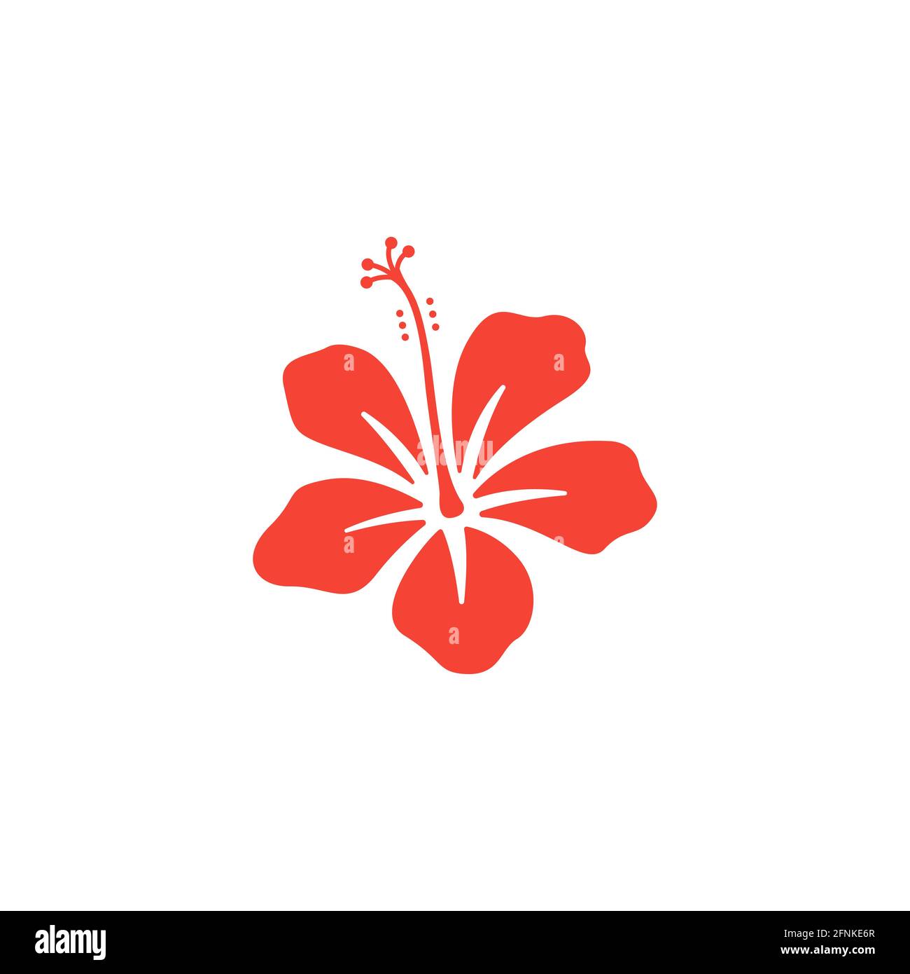 Hibiscus blooming Stock Vector Images - Alamy