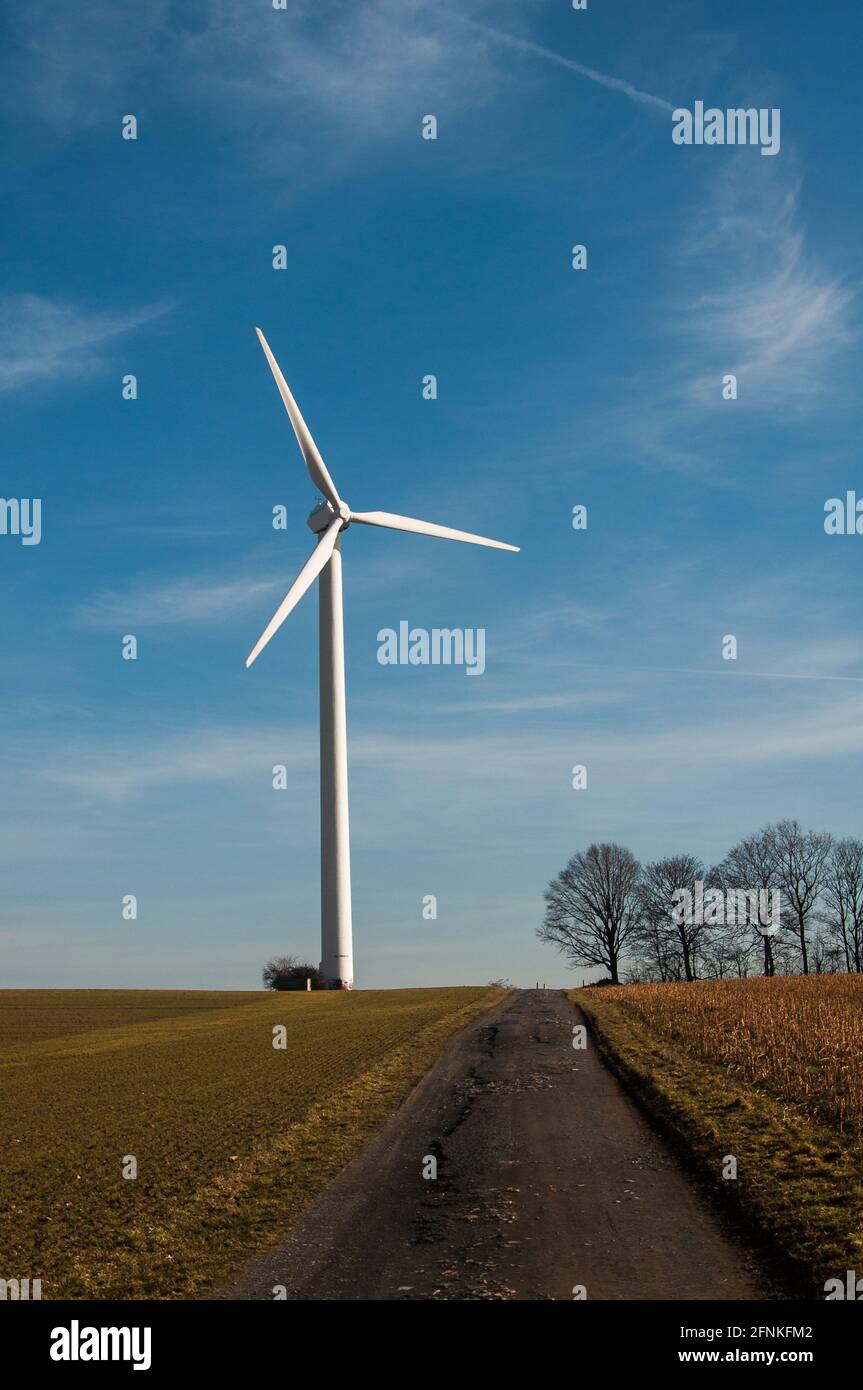Single wind generator isolated in an agricultural field with dry trees ...