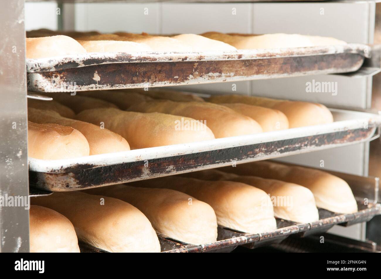 Bread baking equipment hi-res stock photography and images - Alamy