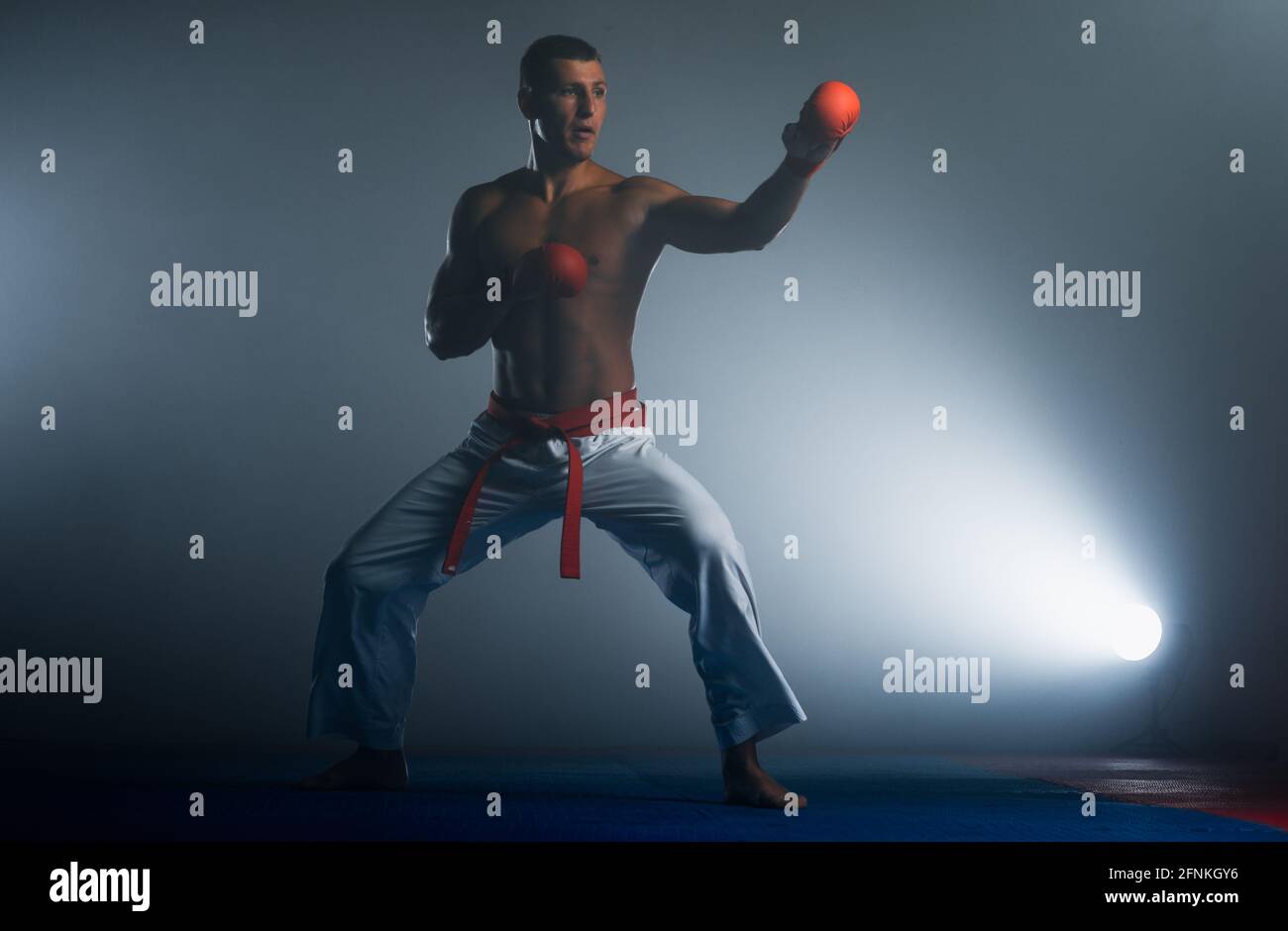 Real Karate Moves