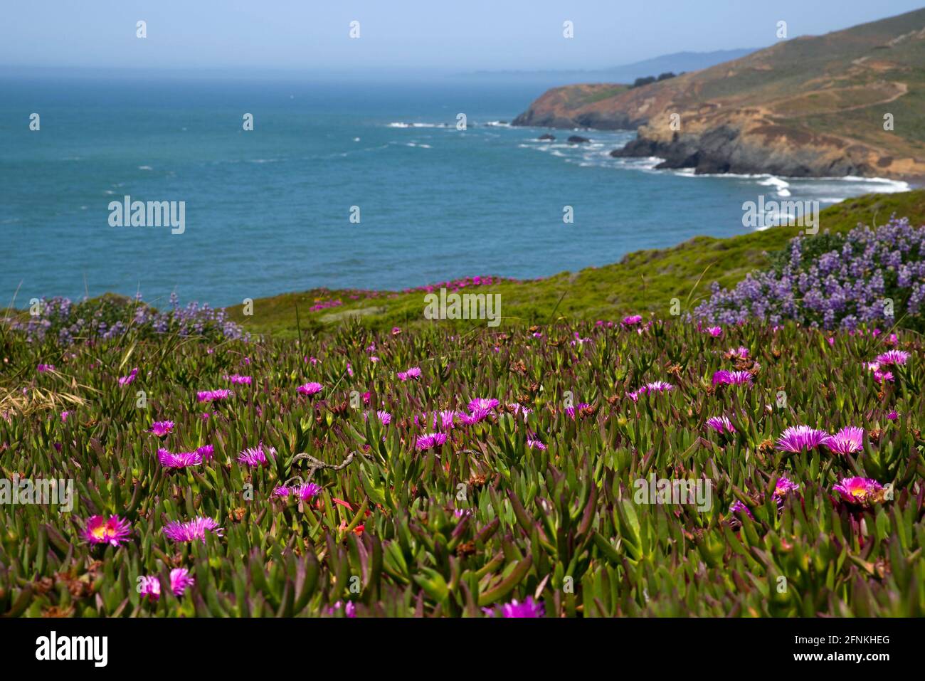 Rodeo cove hi-res stock photography and images - Alamy
