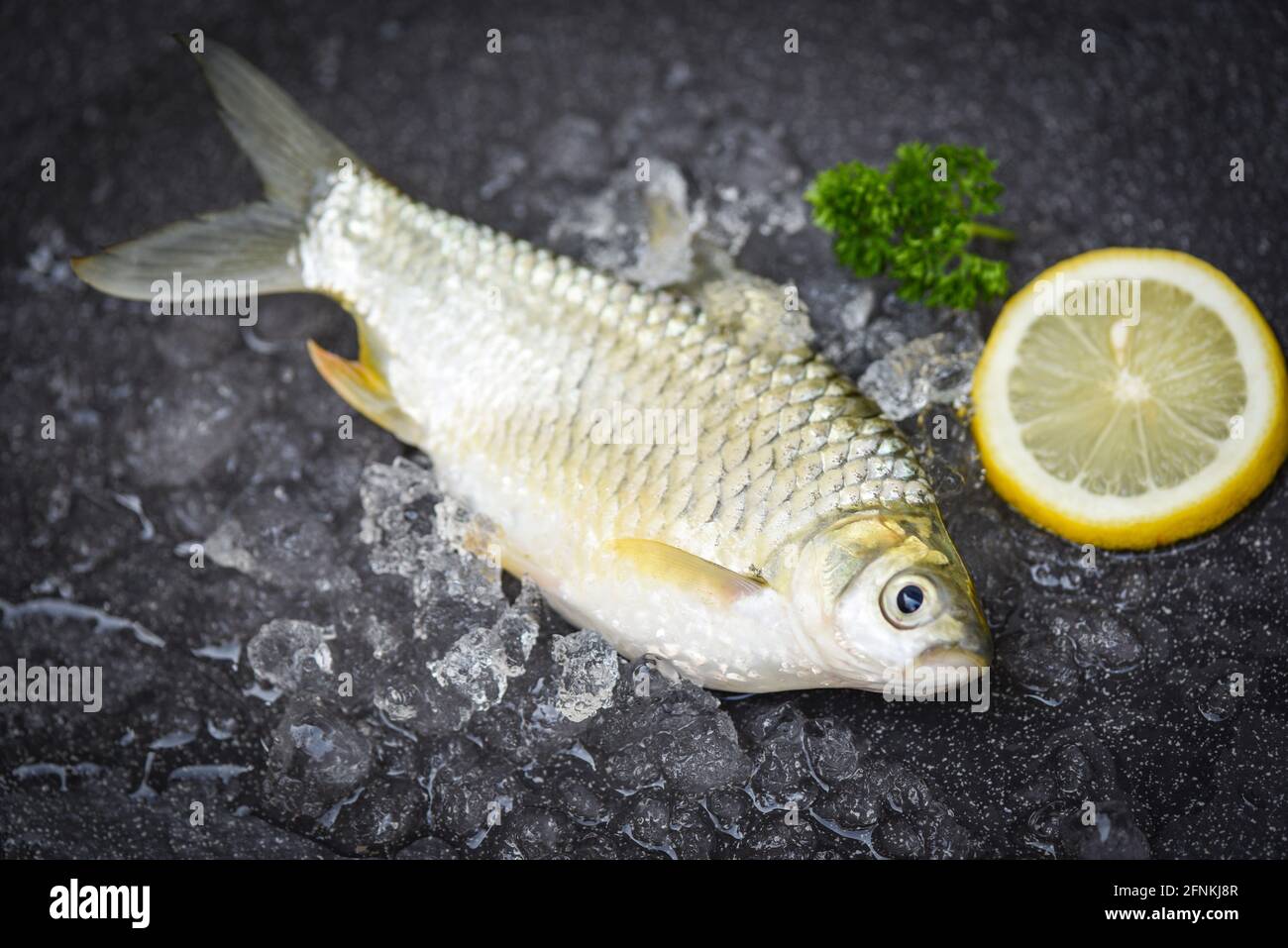 Fresh fish lemon top view, Silver Barb fish on ice, Java Barb Carp Fish ...