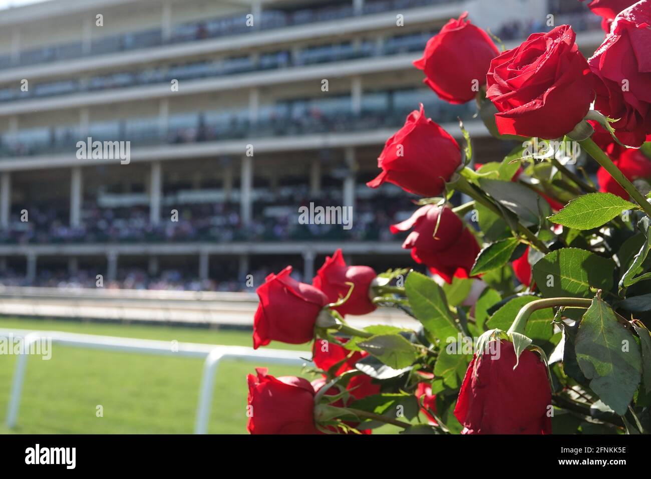 Kentucky derby winners circle hi-res stock photography and images - Alamy
